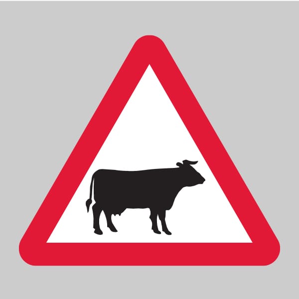 A Guide to Road Signs in Kenya | Cut Graphics